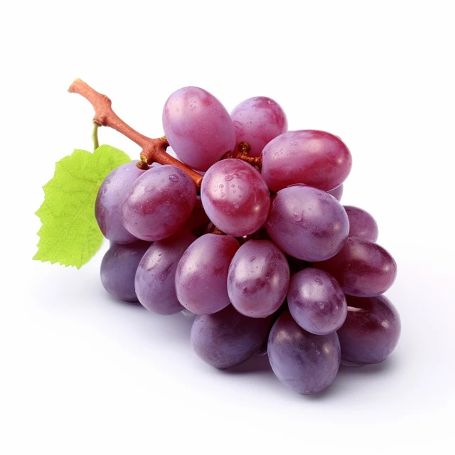 0_1_640_N.webp