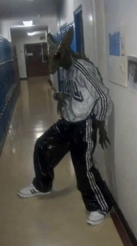 0_640_N.webp